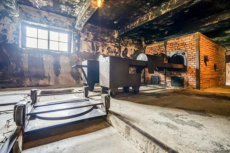 Auschwitz-Birkenau Skip-the-Line Guided Tour - What to Expect from the Auschwitz-Birkenau Guided Tour