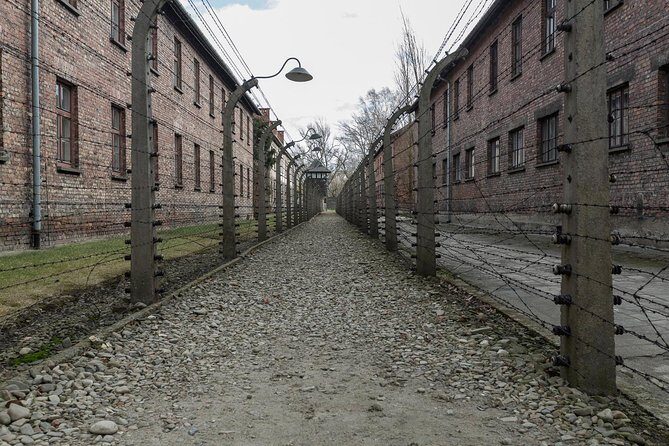 Auschwitz-Birkenau & Wieliczka in one day (Guided tour) - Final Thoughts