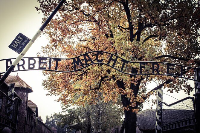 Auschwitz Private Tour - The Itinerary: What to Expect
