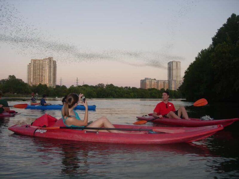 Austin: Guided Bat-Watching Kayak Tour - What Makes This Tour Stand Out?