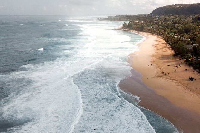 Australia: Coffs Harbour Beach Horse Ride & Lagoon Swim + Photos - Analyzing the Value