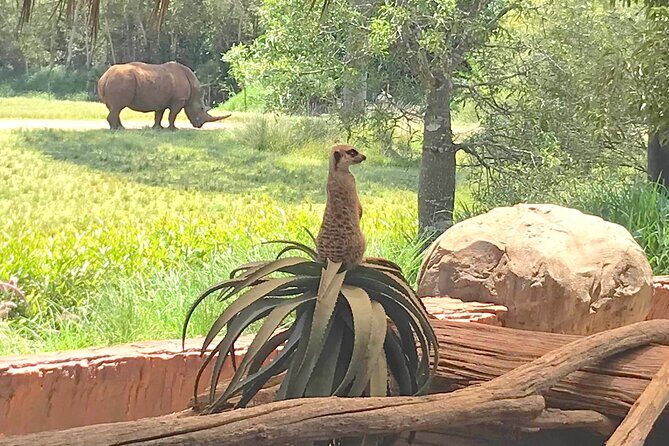 Australia Zoo Transfer from Noosa and Sunshine Coast - Extra Insights from Visitors