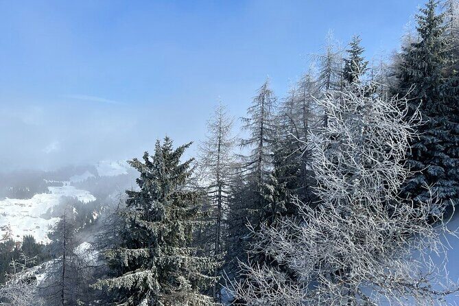 Austrian Hidden Gem Tour: The Most Beautiful Villages - Achensee & Lake Views