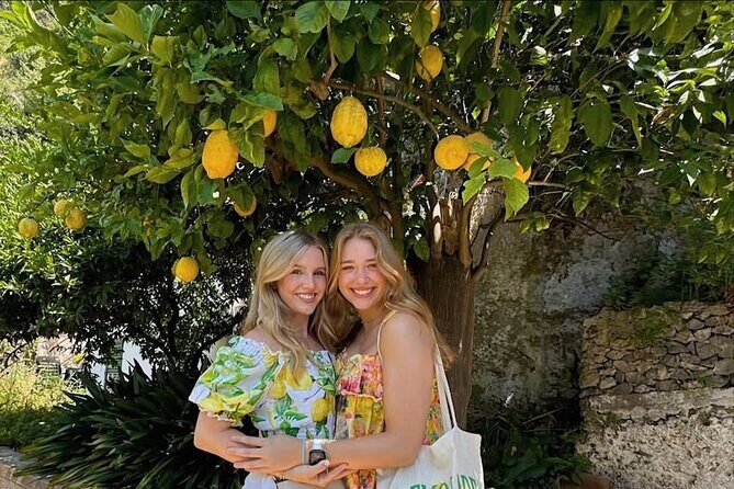 Authentic Amalfi Lemon Tour & Tasting in the Historical Garden - The Value of This Experience