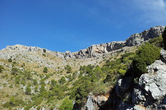 Authentic Andalusia - Jeep Eco Tour (pick up from Marbella - Estepona) - The Sum Up