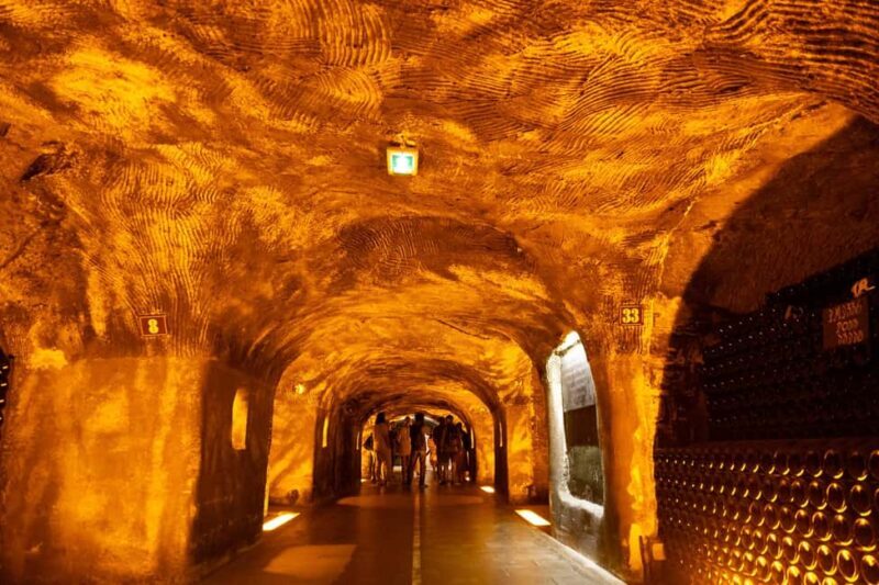Authentic Champagne Tour: 3 vineyards, 10 Tastings & Lunch - The Sum Up