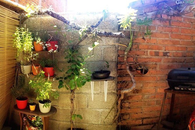 Authentic Cooking Class in Puerto Vallarta with Local Chef, Manu - What Is This Cooking Class All About?