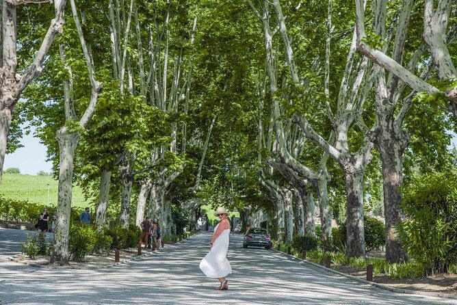 Authentic Douro Valley - small-Group Tour (Max 7) - An Overview of the Tour Experience