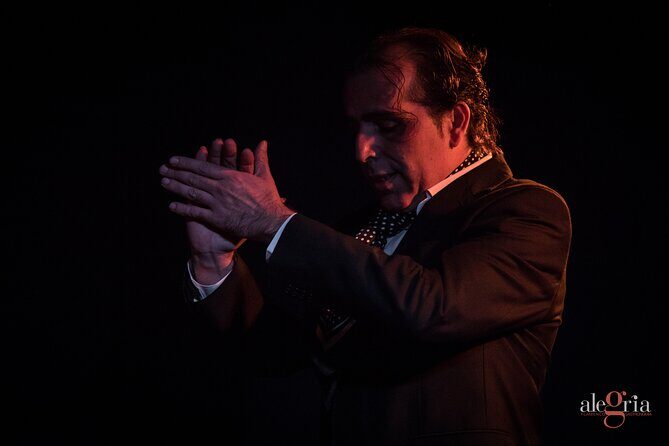 Authentic flamenco show. Alegria and gastronomy Malaga - Practical Tips for Visitors