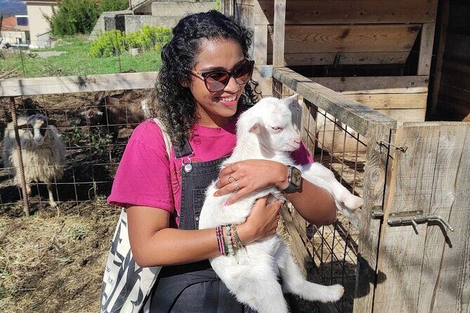 Authentic Garden to Table Cooking Class in Dubrovnik Countryside - FAQ