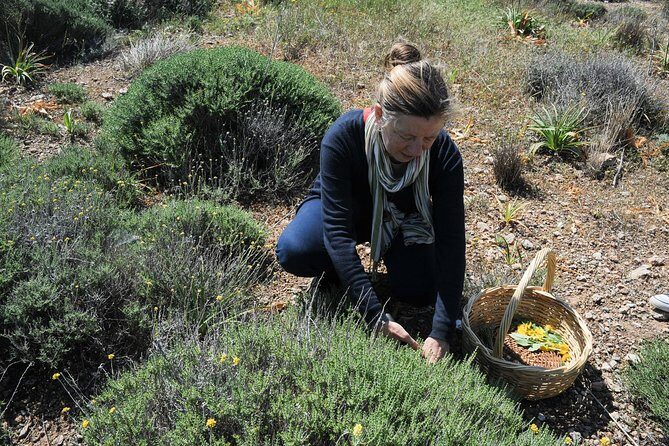 Authentic Greek Cooking & Foraging Experience in Syros with Maria - The Experience: What You Can Expect from Start to Finish