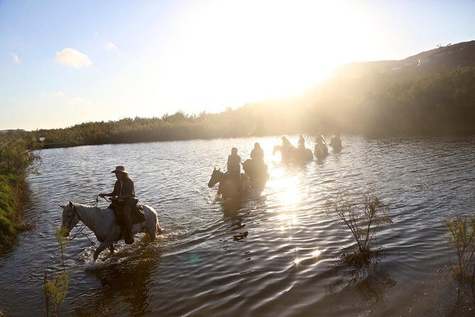 Authentic horseback riding in beautiful La Mision - Discovering La Mision on Horseback