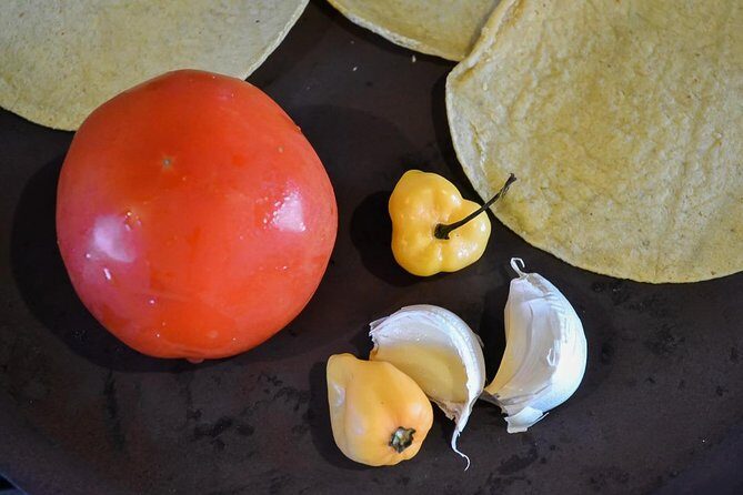 Authentic Mexican Cooking Class in Playa del Carmen - Frequently Asked Questions