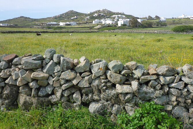 Authentic Mykonos bike tour - Who Should Book This Tour?