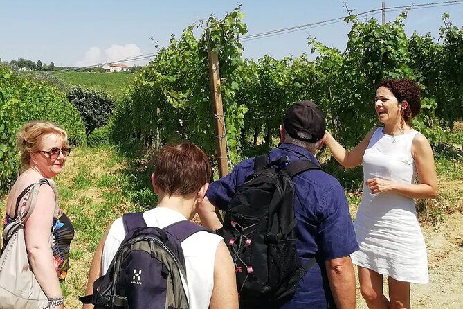 Authentic Piedmont small producers wine tour with a Sommelier - Key Points