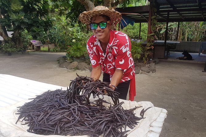 Authentic Polynesian Experience - Who Will Love This Tour?