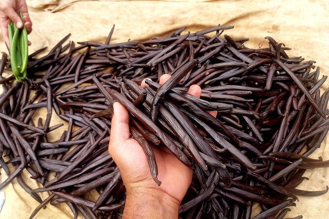 Authentic Polynesian Experience - FAQs