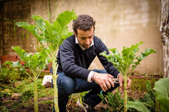 Authentic Portuguese Cooking Class and Dinner in a Lisbon Home - Final Thoughts