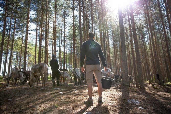 Authentic Reindeer Farm and Canoe Experience from Rovaniemi - The Sum Up