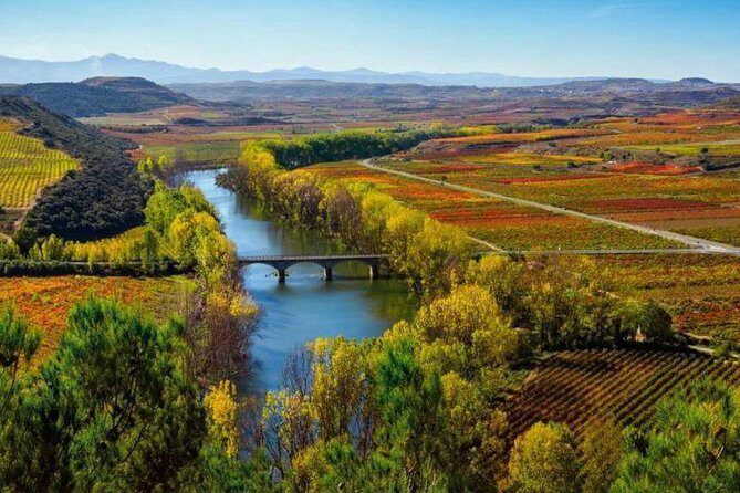 Authentic Rioja Wine Experience - Key Points