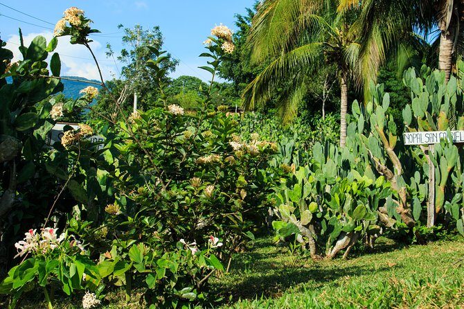 Authentic Rural Mexican Experience Adventure - What Makes This Tour Special?