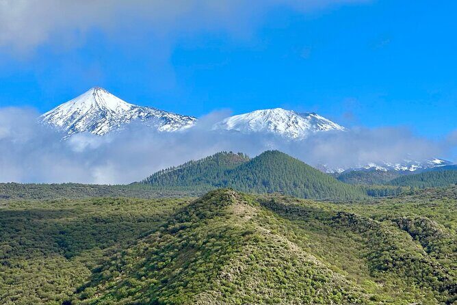 Authentic Tenerife, Teide and Masca on a Private Tour. - Why This Tour Is a Great Fit