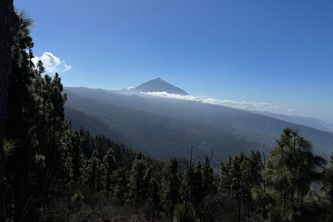 Authentic Tenerife, Teide and Masca on a Private Tour. - FAQ