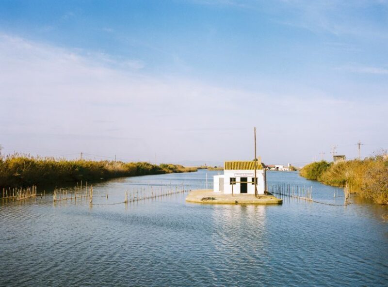 Authentic Valencian Paella Cooking Class - An Authentic Taste of Valencia