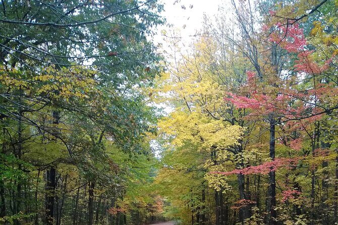 Autumn in Acadia National Park Private Leaf Peeper Driving Tour - Key Points  