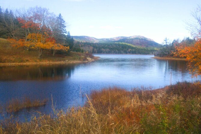 Autumn in Acadia National Park Private Leaf Peeper Driving Tour - Who is This Tour Best Suited For?