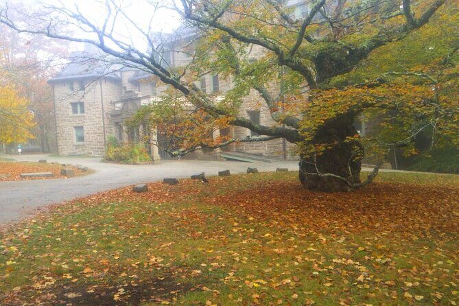 Autumn in Acadia National Park Private Leaf Peeper Driving Tour - Final Thoughts