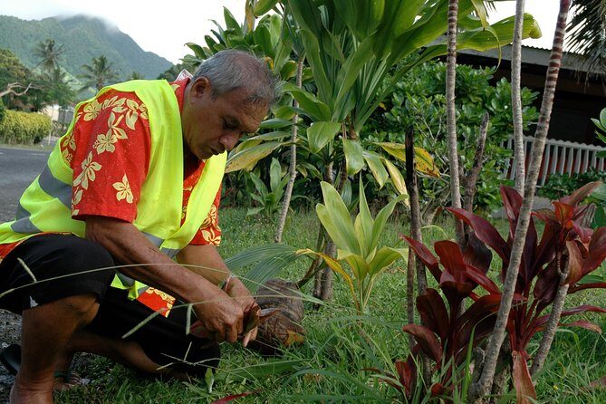 Avarua Historical Walking Tour - Group Size and Atmosphere