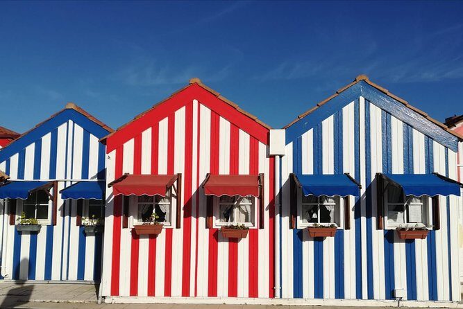 Aveiro and Coimbra Small Group Tour with Moliceiro Boat Cruise - Key Points