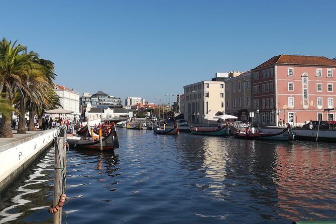 Aveiro and Coimbra Small Group Tour with Moliceiro Boat Cruise - FAQs
