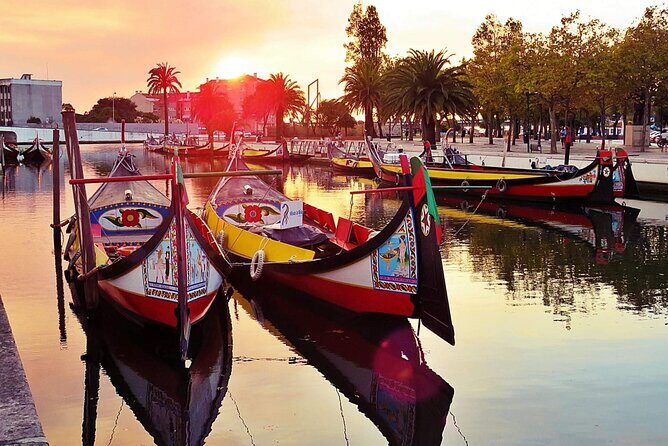 AVEIRO and COSTA NOVA Private Full Day Tour from Porto - Key Points  