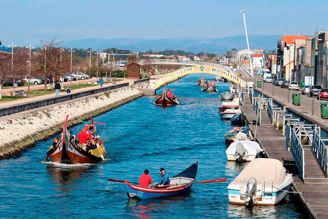 Aveiro Canal Cruise in Traditional Moliceiro Boat - Detailed Review of the Aveiro Canal Cruise