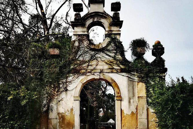 Aveiro, Costa Nova and Coimbra Private Tour From Porto - An In-Depth Look at the Tour Experience