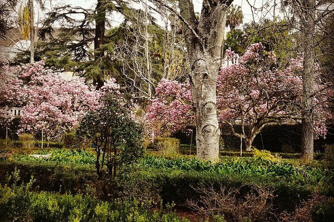 Aveiro, Costa Nova and Coimbra Private Tour From Porto - FAQ