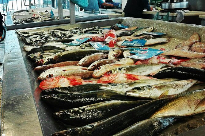 Aveiro, Costa Nova beach and Moliceiro Boat, half-day from Coimbra - Why Choose This Tour?