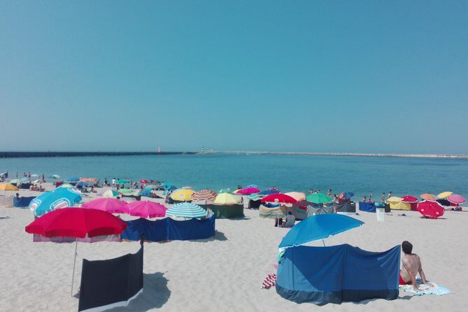 Aveiro, Costa Nova beach and Moliceiro Boat, half-day from Coimbra - Final Thoughts