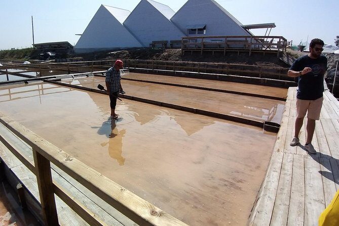 Aveiro & Costa Nova Private Tour  Canals & Striped Houses - An In-Depth Look at the Aveiro & Costa Nova Experience