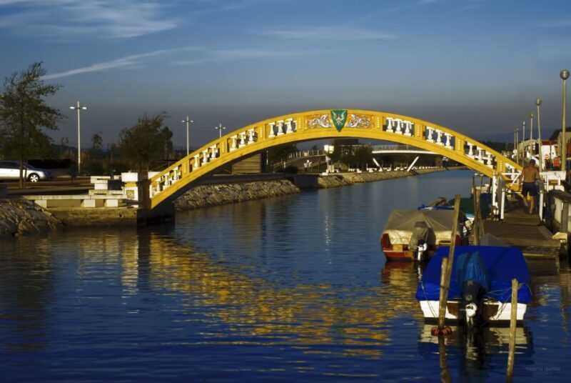 Aveiro: Half Day Tour with Boat Ride - Discovering Aveiro: A Charming Mix of Water, Art, and Color