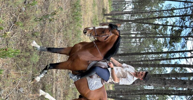 Aveiro: Horse Riding Experience with Instructor - Key Points