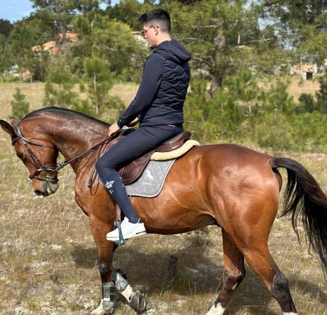 Aveiro: Horse Riding Experience with Instructor - The Sum Up