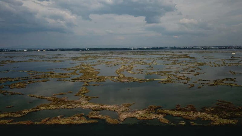 Aveiro: Ria Highlights Boat Tour - A Close Look at the Aveiro Ria Highlights Boat Tour