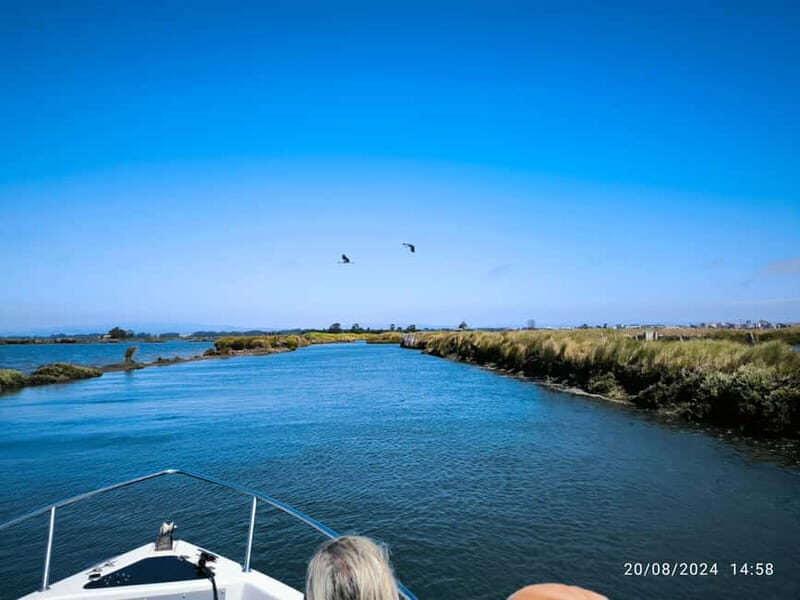 Aveiro: Ria Highlights Boat Tour - FAQ