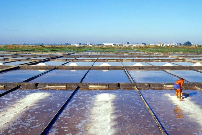 Aveiro Small Group Tour with Typical Boat Ride, offer wine bottle - Key Points