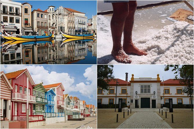 Aveiro Tour Small group, Moliceiro Cruise, Costa Nova, Vista Alegre & Lunch - Key Points