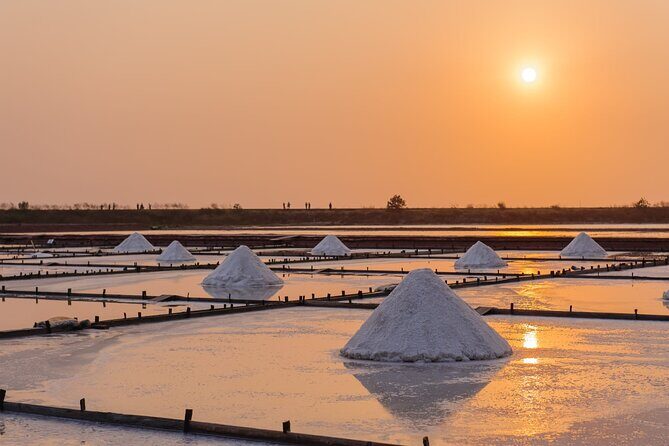 Aveiro Walking and Boat Tour Ovos moles and Colorful Ribbons - Who Will Love This Tour?