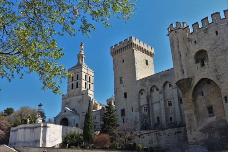 Avignon: Around The Palace Tour - Value and Practicality